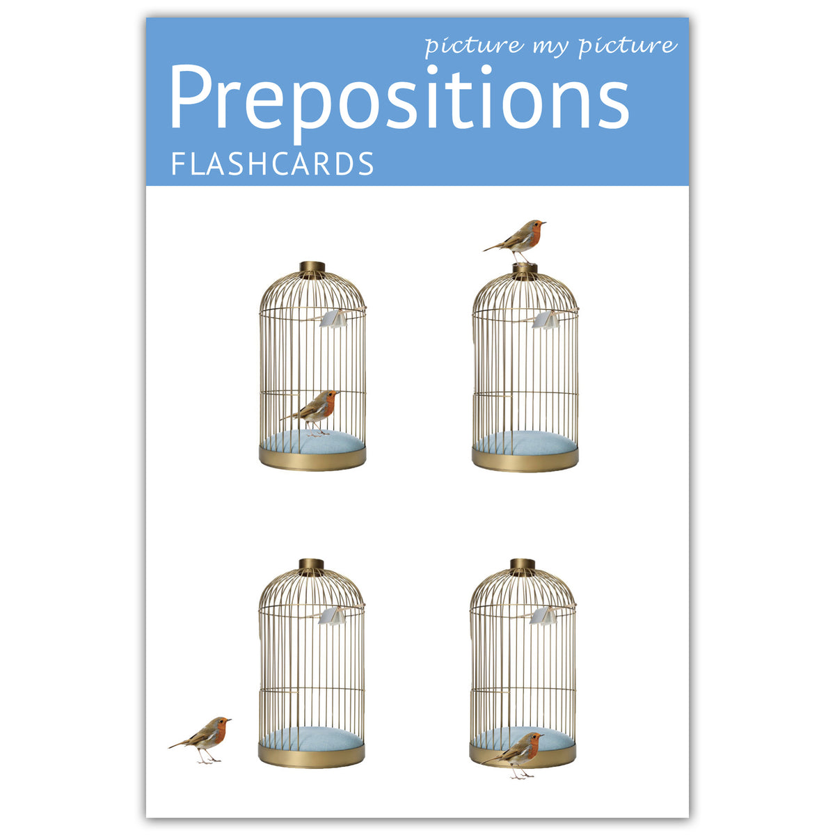 preposition flashcards